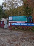Спортивно-охотничий клуб Стрелок (Amur Region, Blagoveschensk), avcılar ve balıkçılar  Blagoveshchensk'ten