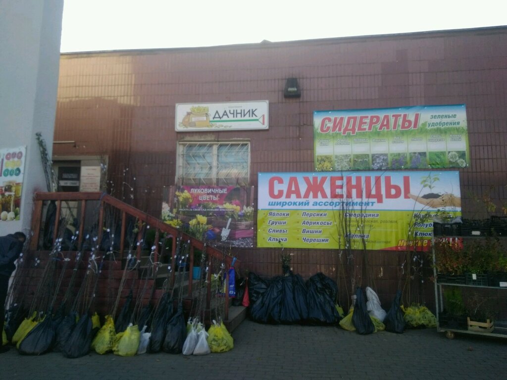 Tohum satan yerler 3D для Дома, для дачи, для семьи, Minsk, foto