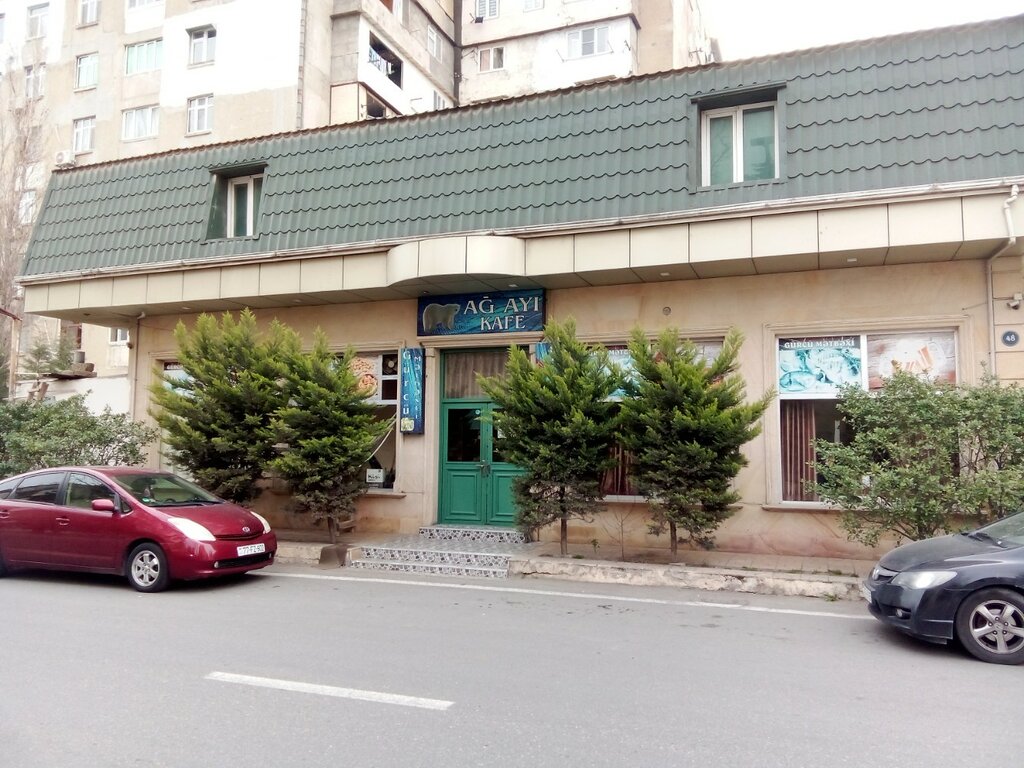Kafe Cafe Beliy Medved, Bakü, foto