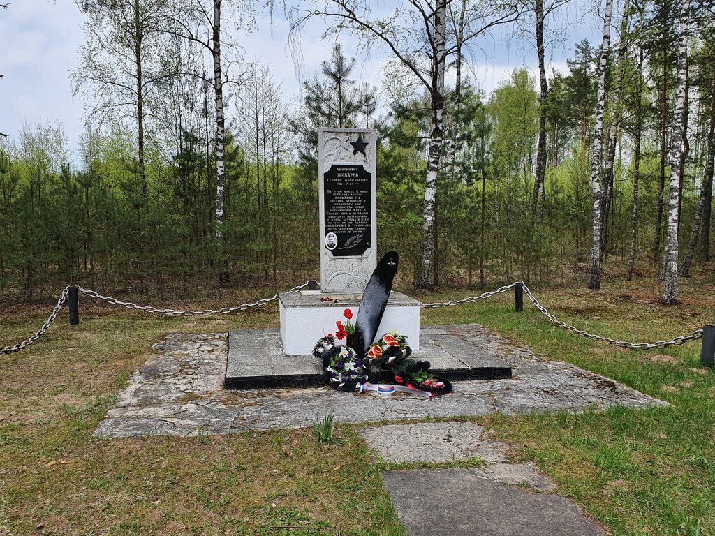 Anıt, heykel Могила лётчика Германа Васильевича Пискарева, Kalujskaya oblastı, foto