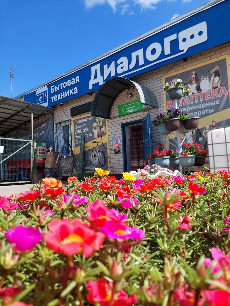 Beyaz eşya mağazaları Dialog magazin bytovoy tekhniki Nureyeva N. R. Ip, Çeliabinskaya oblastı, foto