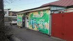 Alina (Zygmunt Lewaniewski Street No:22, Bishkek), market  Bişkek'ten