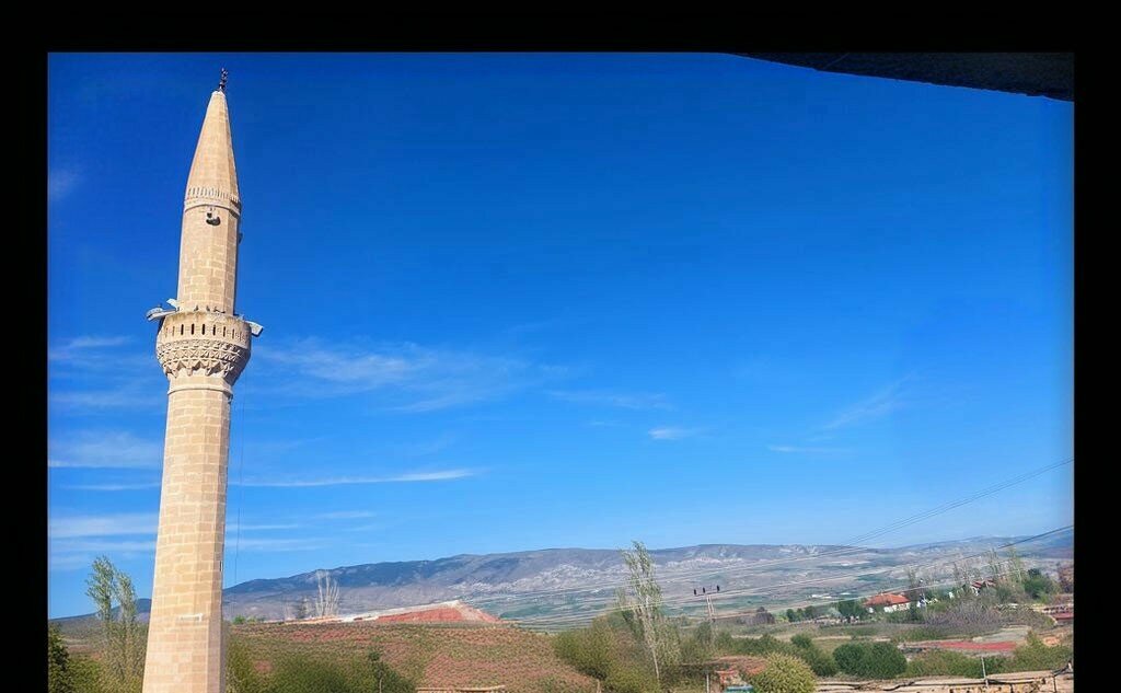 Muhtarlıklar Ödek Köy Muhtarlığı, Şabanözü, foto