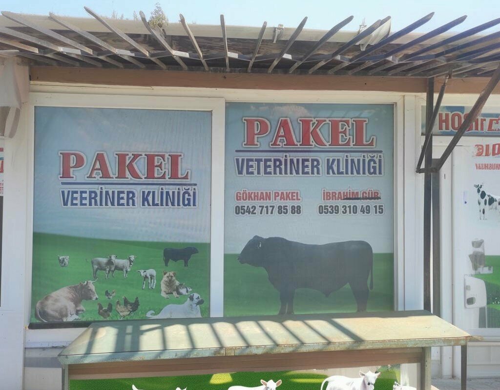 Veteriner klinikleri Pakel Veteriner Kliniği, Silivri, foto