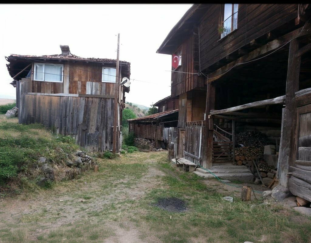 Muhtarlıklar Dereçatı Köy Muhtarlığı, Boyabat, foto