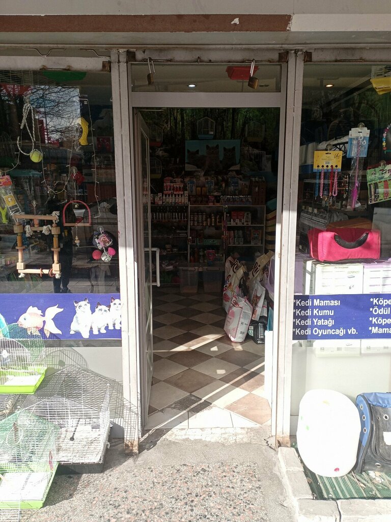 Petshop Cat Pet Shop, Ankara, foto
