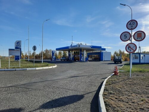 Benzin istasyonu Gazpromneft, Omskaya oblastı, foto