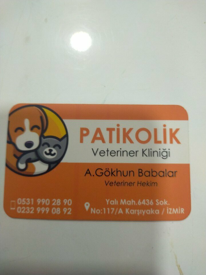 Veteriner klinikleri Patikolik, İzmir, foto