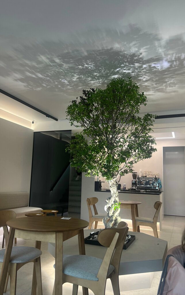 Restoran Ravi Neo-bistro, Batum, foto