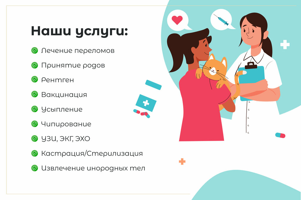 Veteriner klinikleri Мульти-Вет, Troitsk, foto