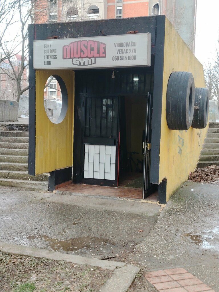 Spor ve jimnastik salonları Muscle Gym, Belgrad, foto