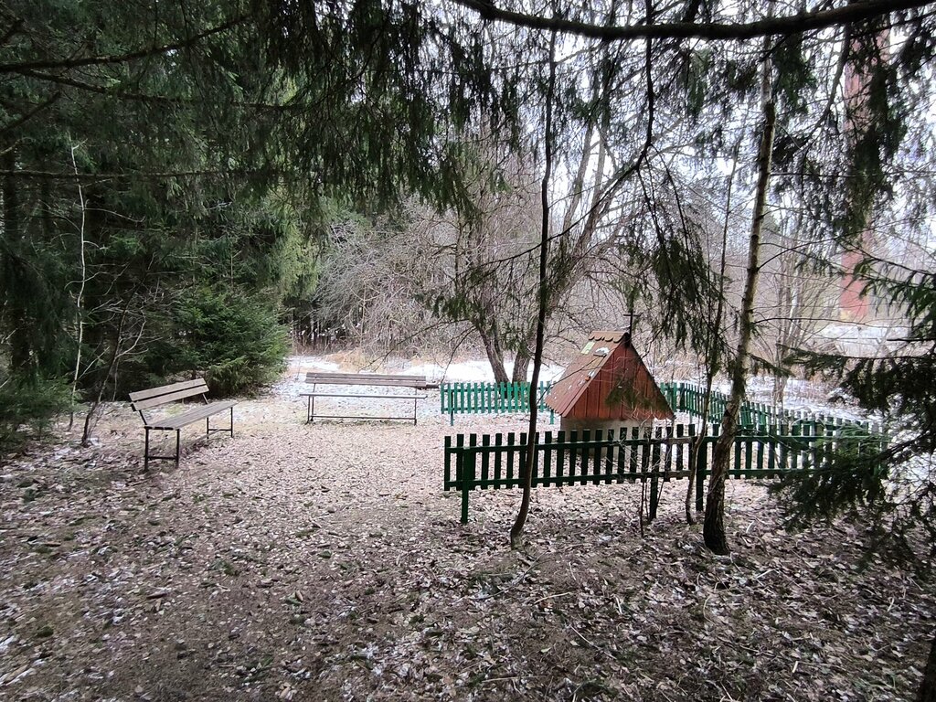 Kuyu Well, Moskova ve Moskovskaya oblastı, foto