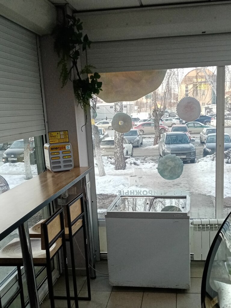 Şarj cihazı kiralama EnerGO, Çeliabinsk, foto