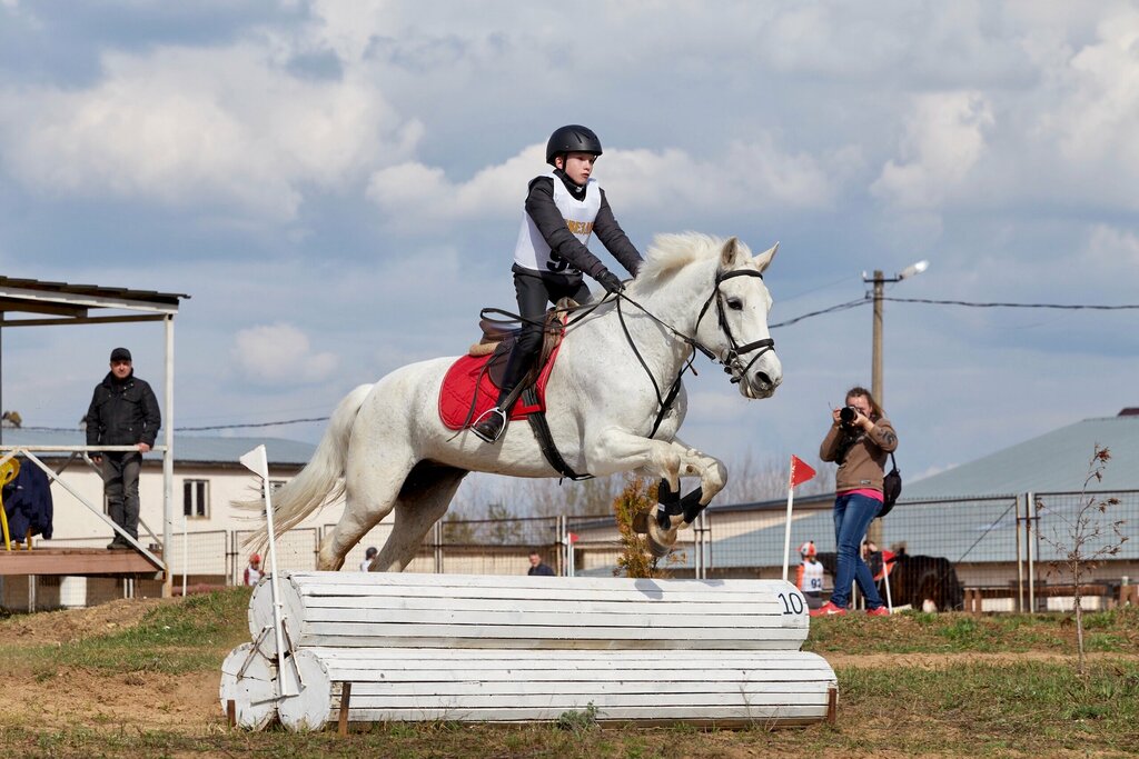At ve binicilik kulüpleri Антарес, Ramenskoye, foto