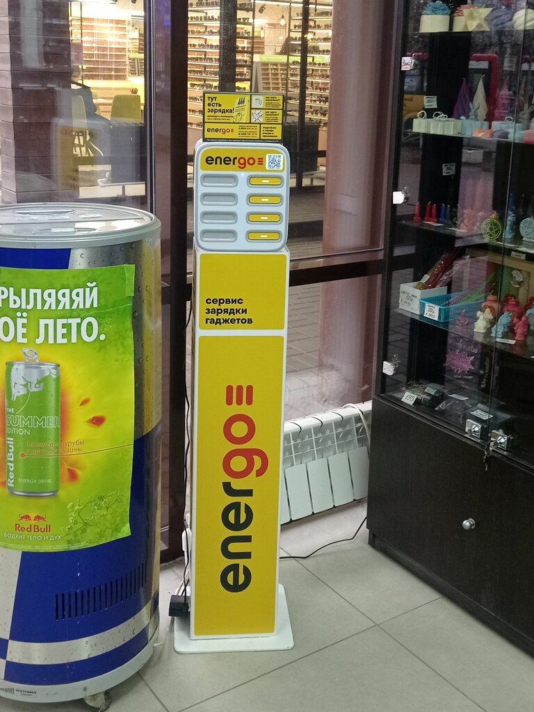 Şarj cihazı kiralama EnerGO, Riazan, foto
