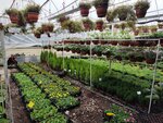 GeoBotanic Isani (Tbilisi, Ketevan Dedofali Avenue), sera ve bahçe ürünleri  Tiflis'ten