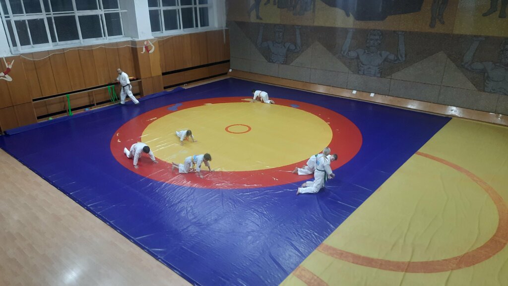 Çok amaçlı spor tesisleri Радон, Moskova ve Moskovskaya oblastı, foto