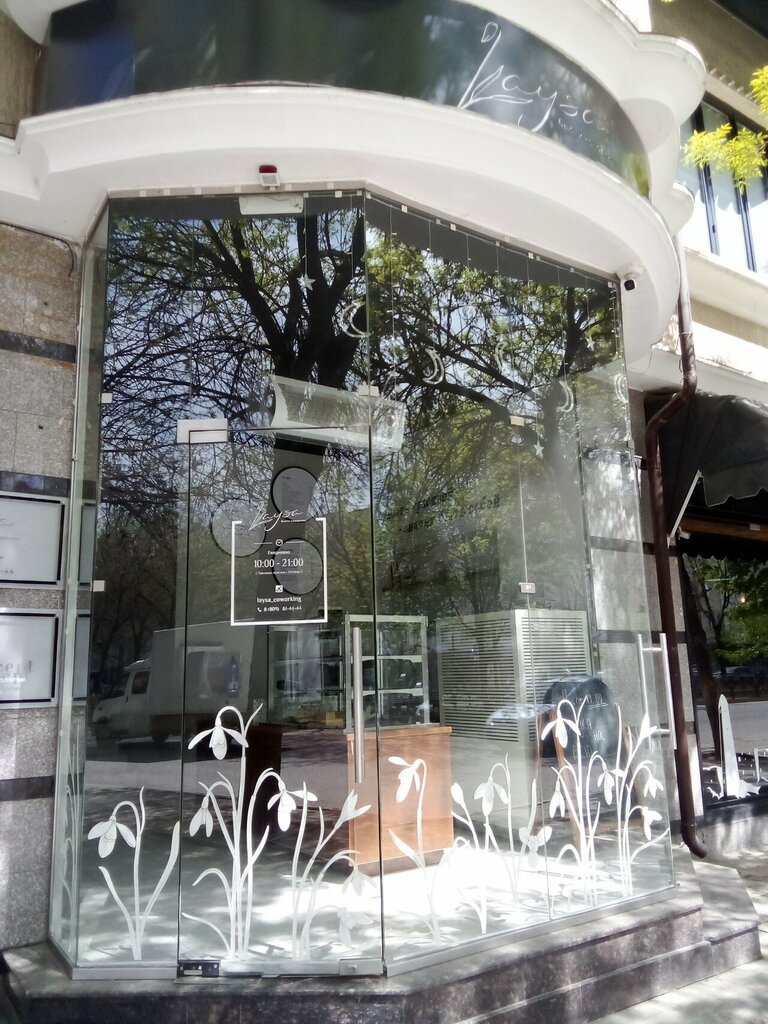 Güzellik coworking Laysa, Grozni, foto