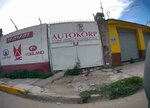Autokorp (Department of Cochabamba, Provincia de Quillacollo, Quillacollo, ciudad de Quillacollo, Distrito 1), oto döşeme  Dünya'dan