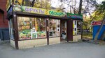 Ovoshchnoy magazin (Stanislavskogo Street No:2), manavlar  Novosibirsk'ten