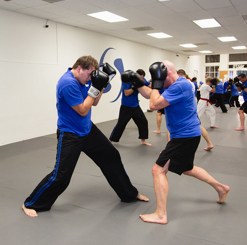 Spor ve eğlence merkezi Swiftkick Martial Arts, Kaliforniya Eyaleti, foto
