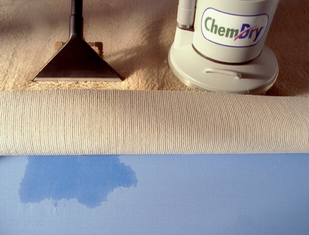 Halı yıkamacılar Peninsula Chem-Dry, Kaliforniya Eyaleti, foto