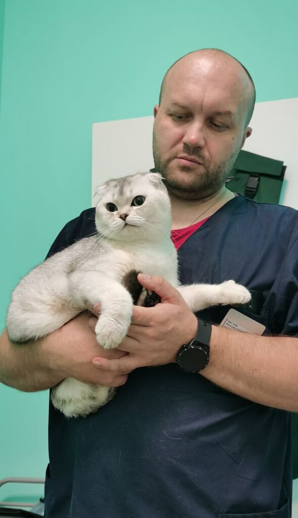 Veteriner klinikleri Condor, Moskova, foto