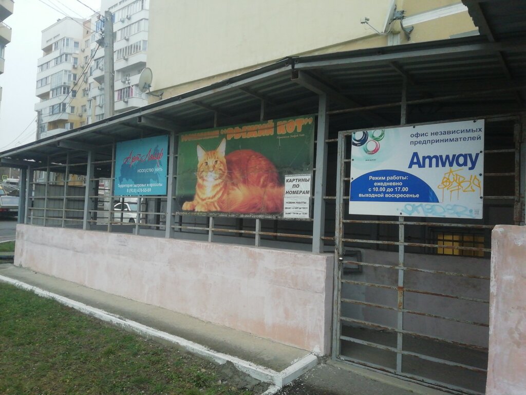 Petshop Рыжий кот, Novorossiysk, foto
