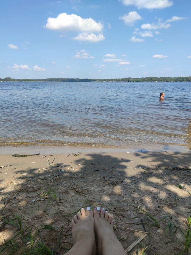Doğa koruma alanı ООПТ Заборские острова, Tverskaya oblastı, foto