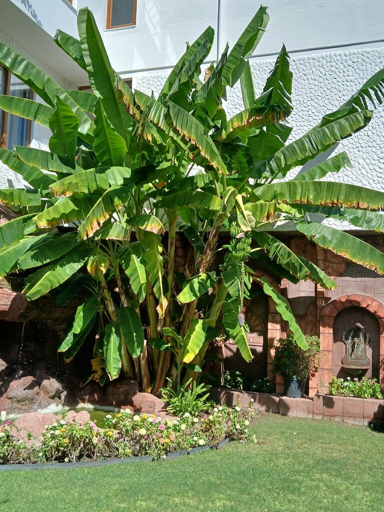 Restoran Kuleli Restaurant, Kemer, foto