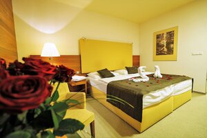Hotel AquaCity Mountain View (Poprad, Batizovce, Športová), otel  Poprad'dan
