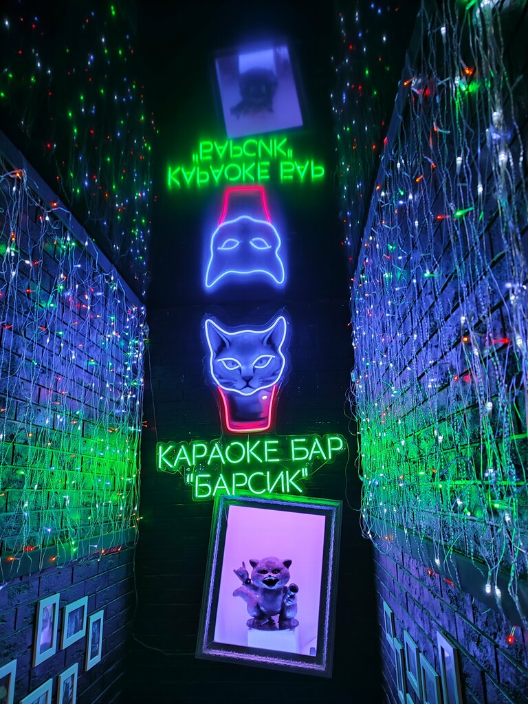 Bar Барсик, Saint‑Petersburg, foto