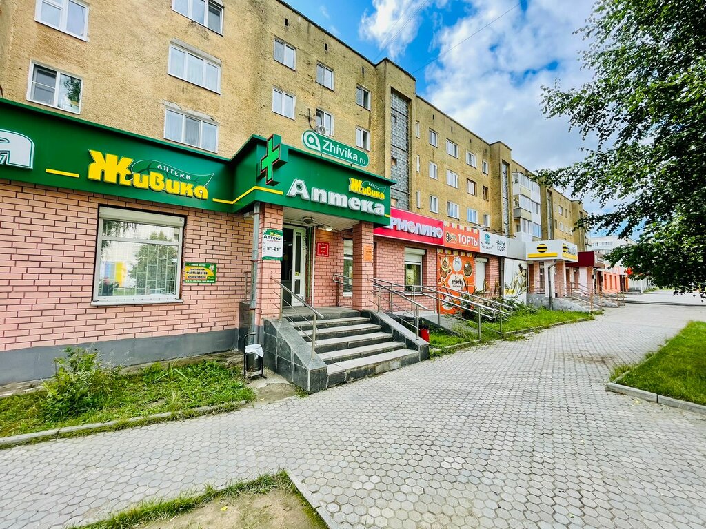 Dondurulmuş gıda firmaları Yermolino, Verhniaya Salda, foto