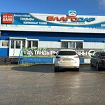 Благодар (ulitsa Volodarskogo No:83/7), soba, şömine  Arzamas'tan