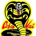 Cobra-Kai (Anatolıı Hrapatyı kóshesi No:10), spor kulüpleri  Astana'dan