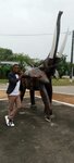 43rd Bima (Abidjan, Derrière Wharf), devlet güvenlik birimleri  Abican'dan