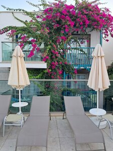 Jasmine Beach Restaurant (Gümbet Mah., Dayılar Sok., No:27, Bodrum, Muğla, Türkiye Cumhuriyeti), restoran  Bodrum'dan