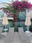 Jasmine Beach Restaurant (Gümbet Mah., Dayılar Sok., No:27, Bodrum, Muğla, Türkiye Cumhuriyeti), restoran  Bodrum'dan