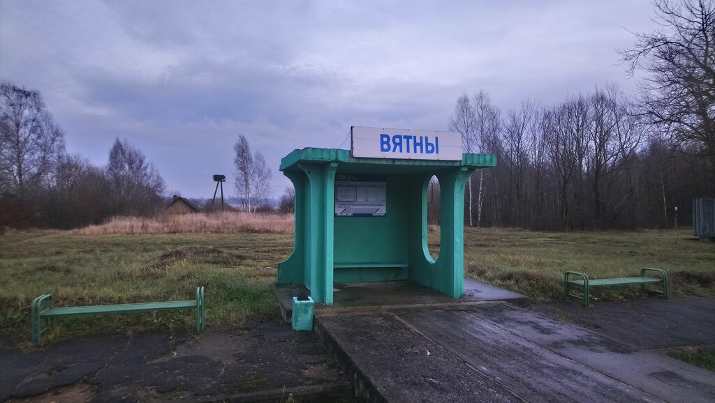 Tren istasyonu prypynacny punkt Viatny, Vitebskaya oblastı, foto