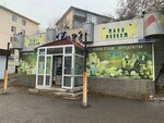 Household chemicals and cosmetics shop (Republic Avenue No:71А), ev temizlik ürünleri  Temirtav'dan