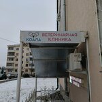 Eskulap (Internatsionalnaya Street No:125/1), veteriner klinikleri  Ufa'dan