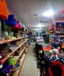 Halikarnas Akvaryum (Kırklareli, Lüleburgaz, Kocasinan Mah., Bağlantı Sok., 2), petshop  Lüleburgaz'dan