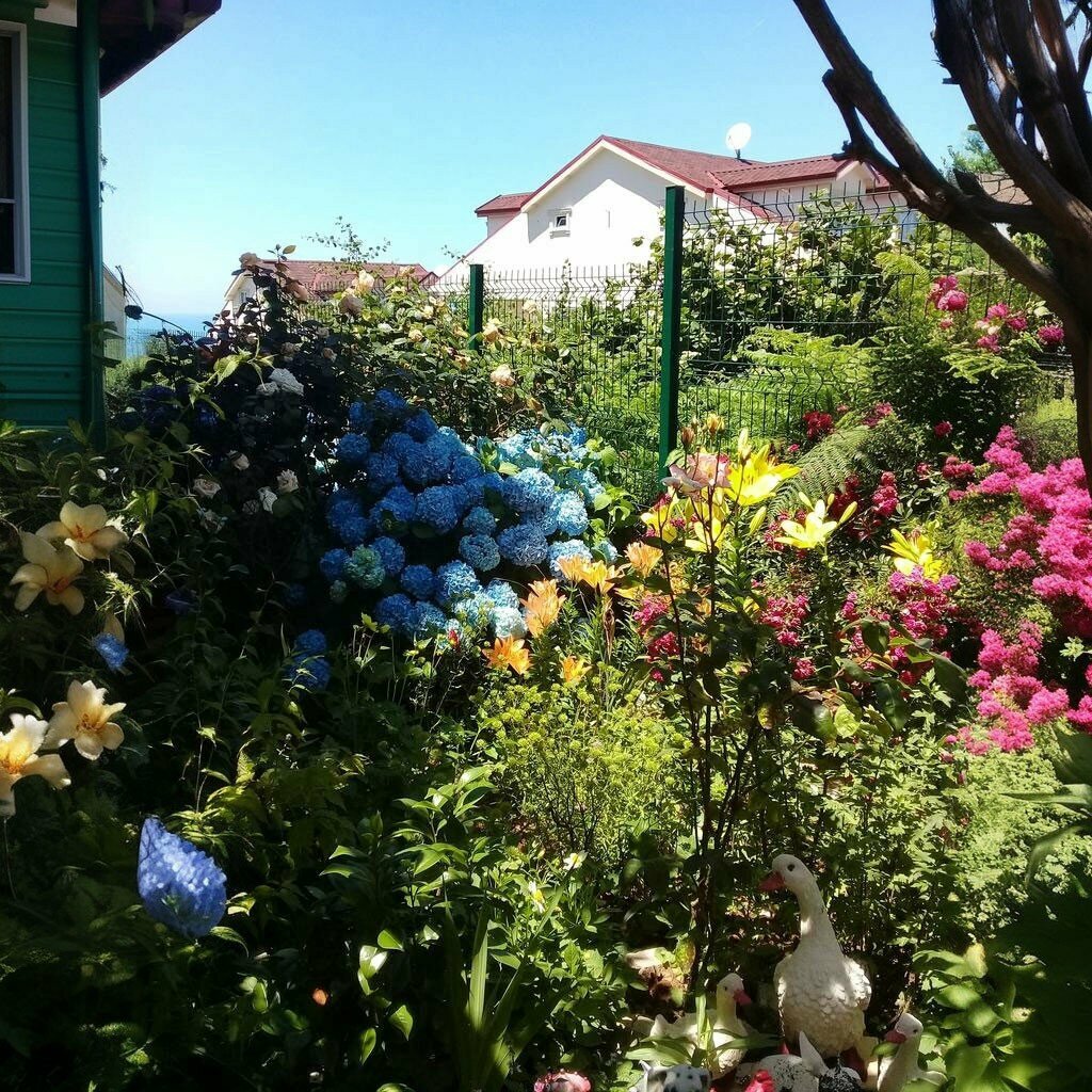 Süpermarket Merkez Market, Kandıra, foto