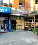 Exuma Pet Center (Alipaşa Mah., Fatih Sultan Mehmet Blv., No:9, Merkez, Kütahya), petshop  Kütahya'dan