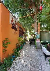 Limyra Garden (Antalya, Finike, Sahilkent Mah.), kafe  Finike'den