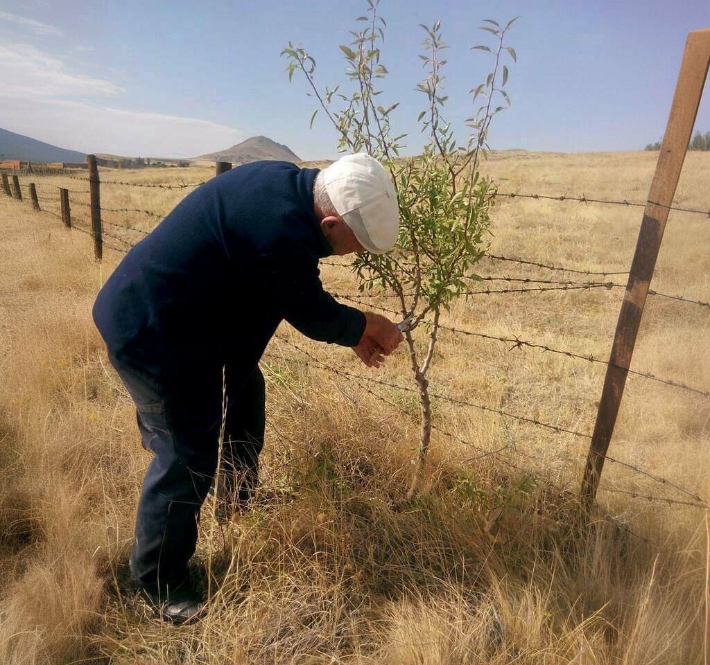 Muhtarlıklar Meşeköy Köy Muhtarlığı, Kaman, foto