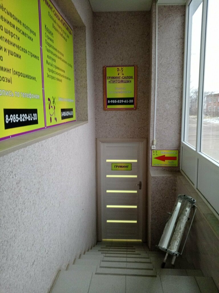 Evcil hayvan kuaförleri Питомцы, Luhovitsy, foto