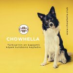 Chowhella Pet Market & (İstanbul, Kadıköy, Fenerbahçe Mah., İğrip Sok., 13), petshop  İstanbul'dan