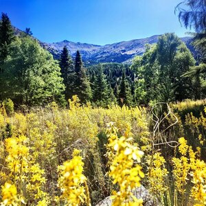 Doğa Berçin Yaylası, Tomarza, foto