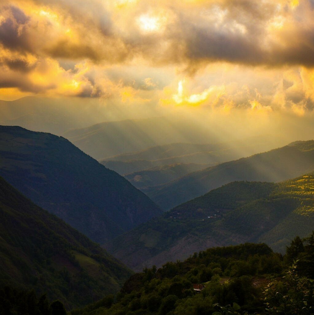 Muhtarlıklar Kınıkgüney Köy Muhtarlığı, Erbaa, foto